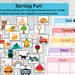 Five Senses Sorting Activity Printable/ Preschool Five Senses for ...