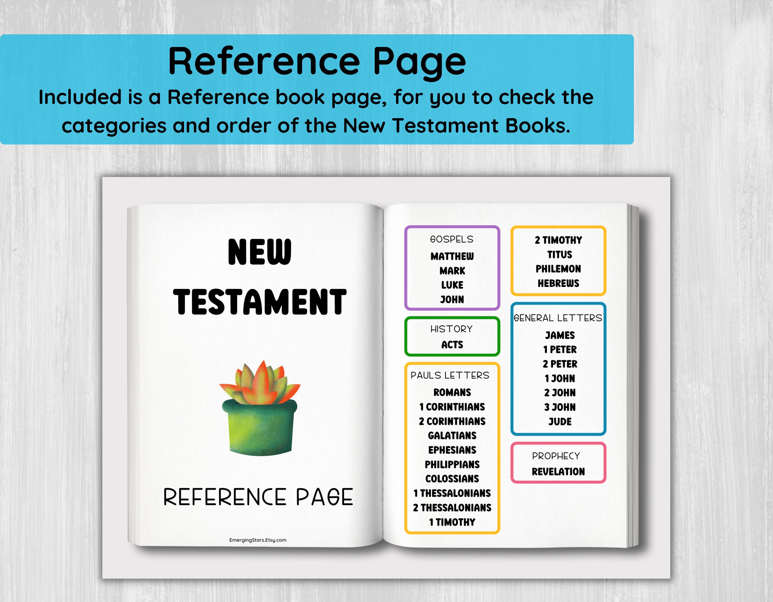 New Testament Books of the Bible Kids Sorting Activity Printable ...