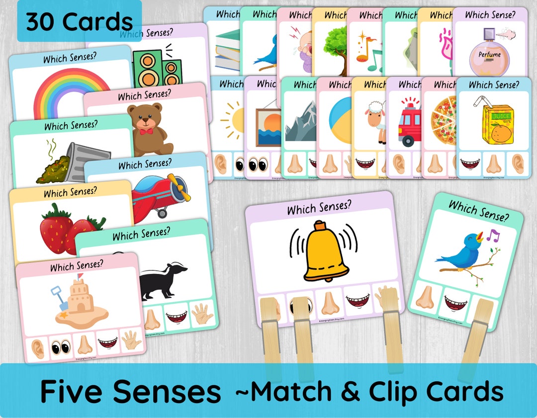 Preschool 5 Senses Match and Clip Cards/ Toddler Five Senses - Etsy