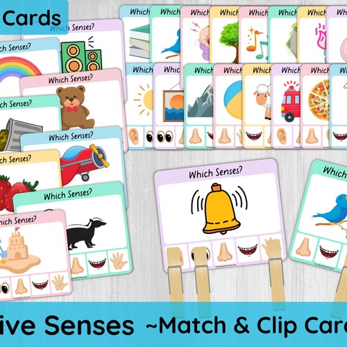 Preschool 5 Senses Match and Clip Cards/ Toddler Five Senses - Etsy