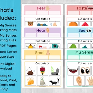 Five Senses Sorting Activity Printable/ Preschool Five Senses for ...