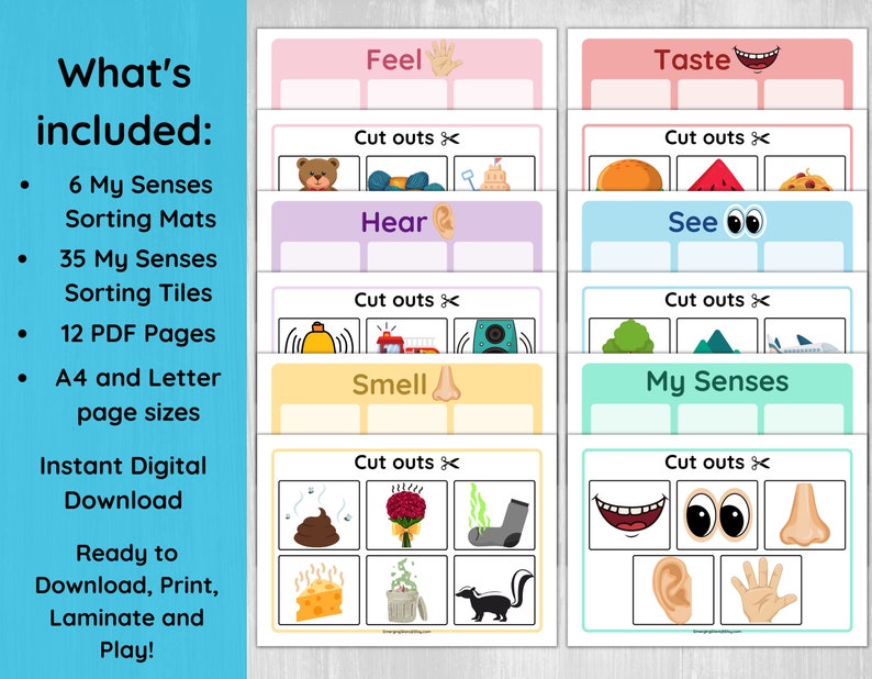Five Senses Sorting Activity Printable/ Preschool Five Senses for ...