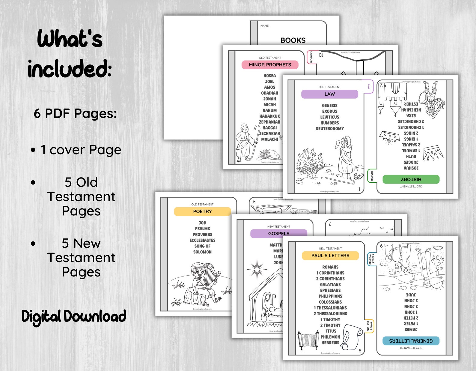 Books of the Bible Flip Book/ Download Kids Bible Coloring in Booklet ...