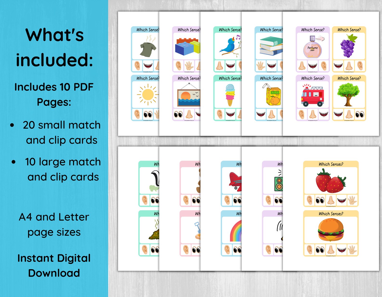 Preschool 5 Senses Match and Clip Cards/ Toddler Five Senses Activity ...