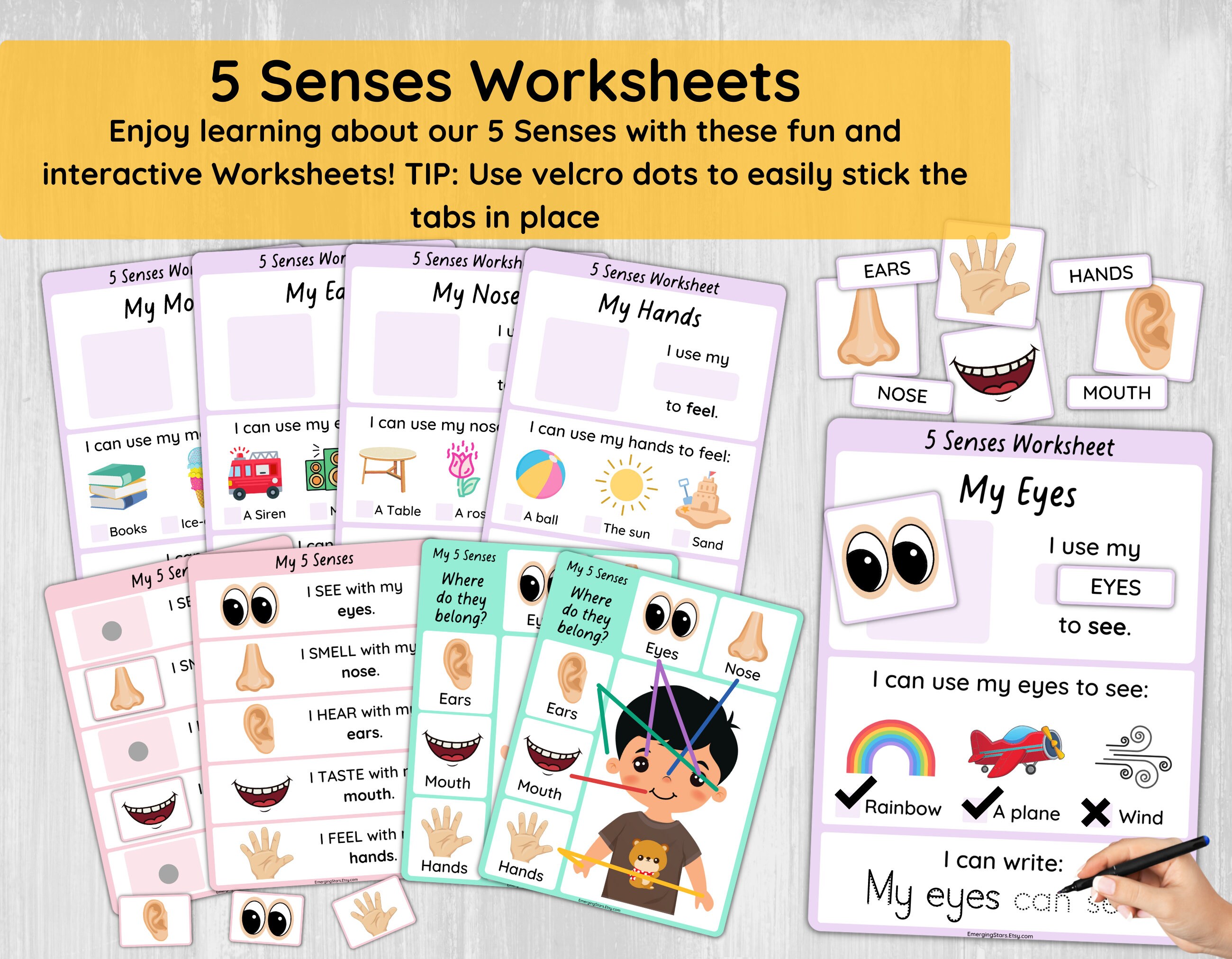 Preschool 5 Senses Activities/ Toddler Five Senses Sorting Activity ...