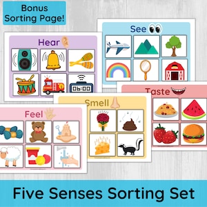 Five Senses Sorting Activity Printable/ Preschool Five Senses for ...