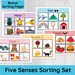 Five Senses Sorting Activity Printable/ Preschool Five Senses for ...
