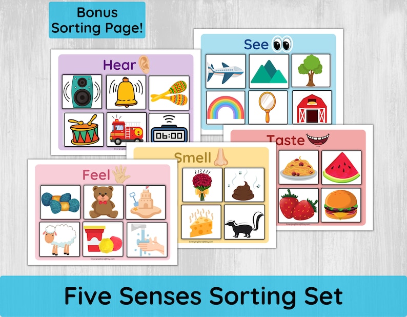 Five Senses Sorting Activity Printable/ Preschool Five Senses for ...