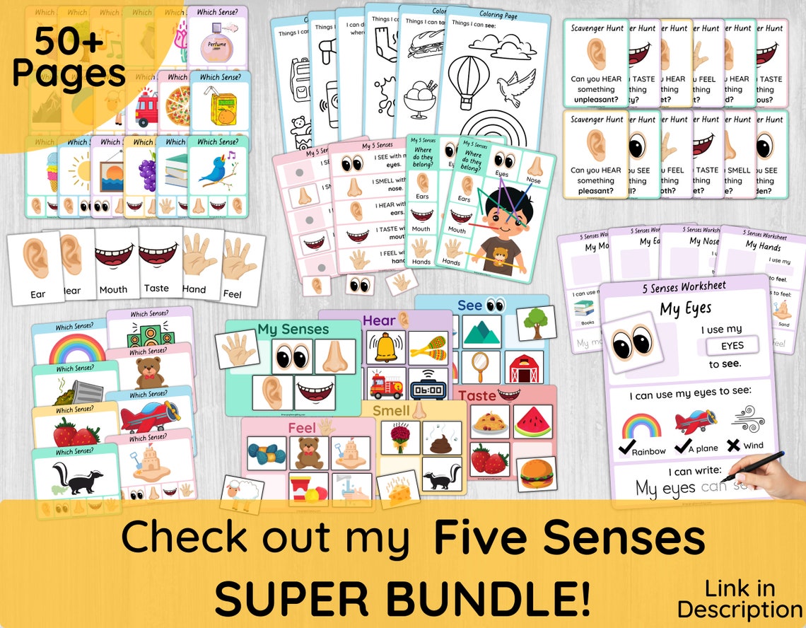 Preschool 5 Senses Match and Clip Cards/ Toddler Five Senses Activity ...