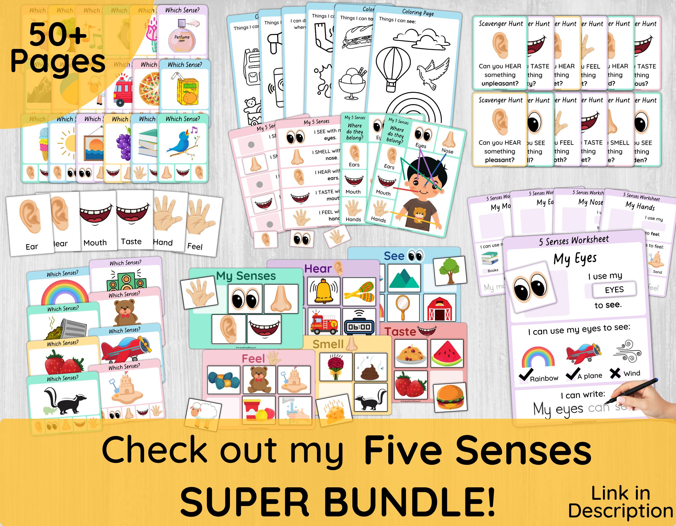 Preschool 5 Senses Match and Clip Cards/ Toddler Five Senses Activity ...