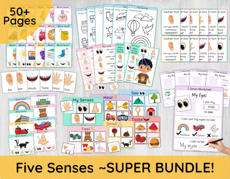 Preschool 5 Senses Activities/ Toddler Five Senses Sorting - Etsy