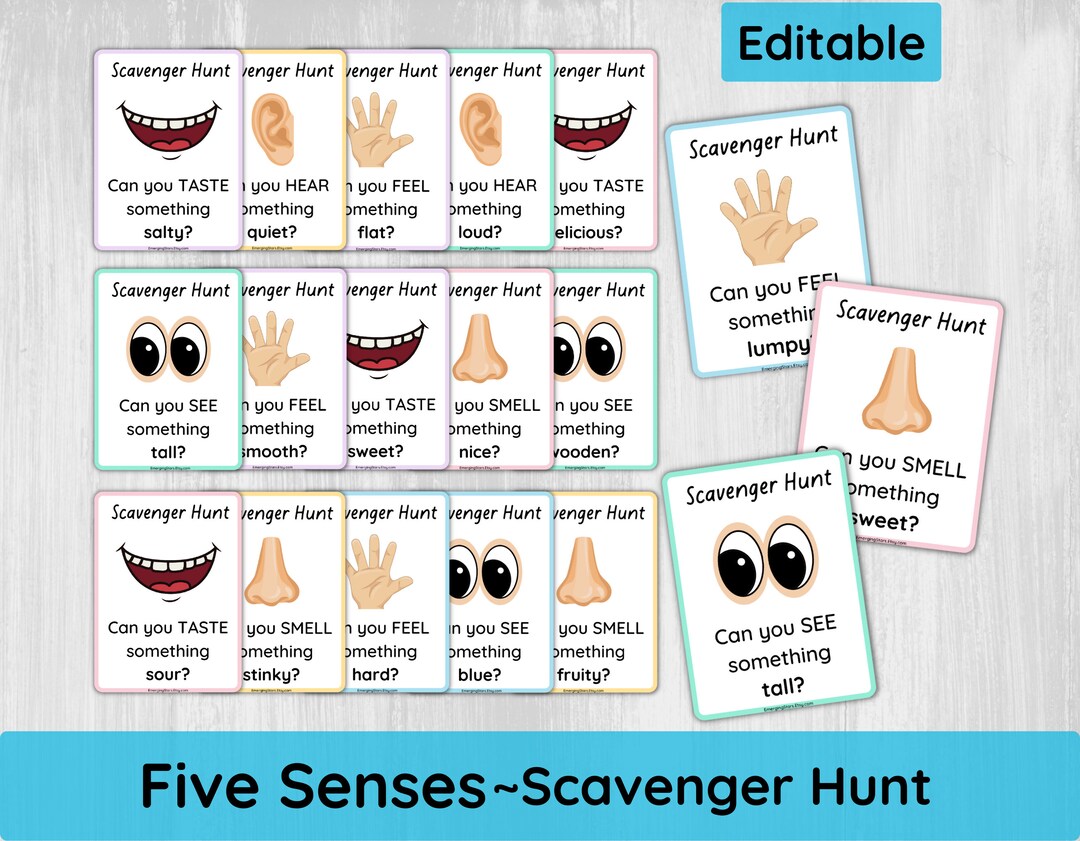 Toddler 5 Senses Scavenger Hunt Cards/ Preschool Five Senses Activity ...