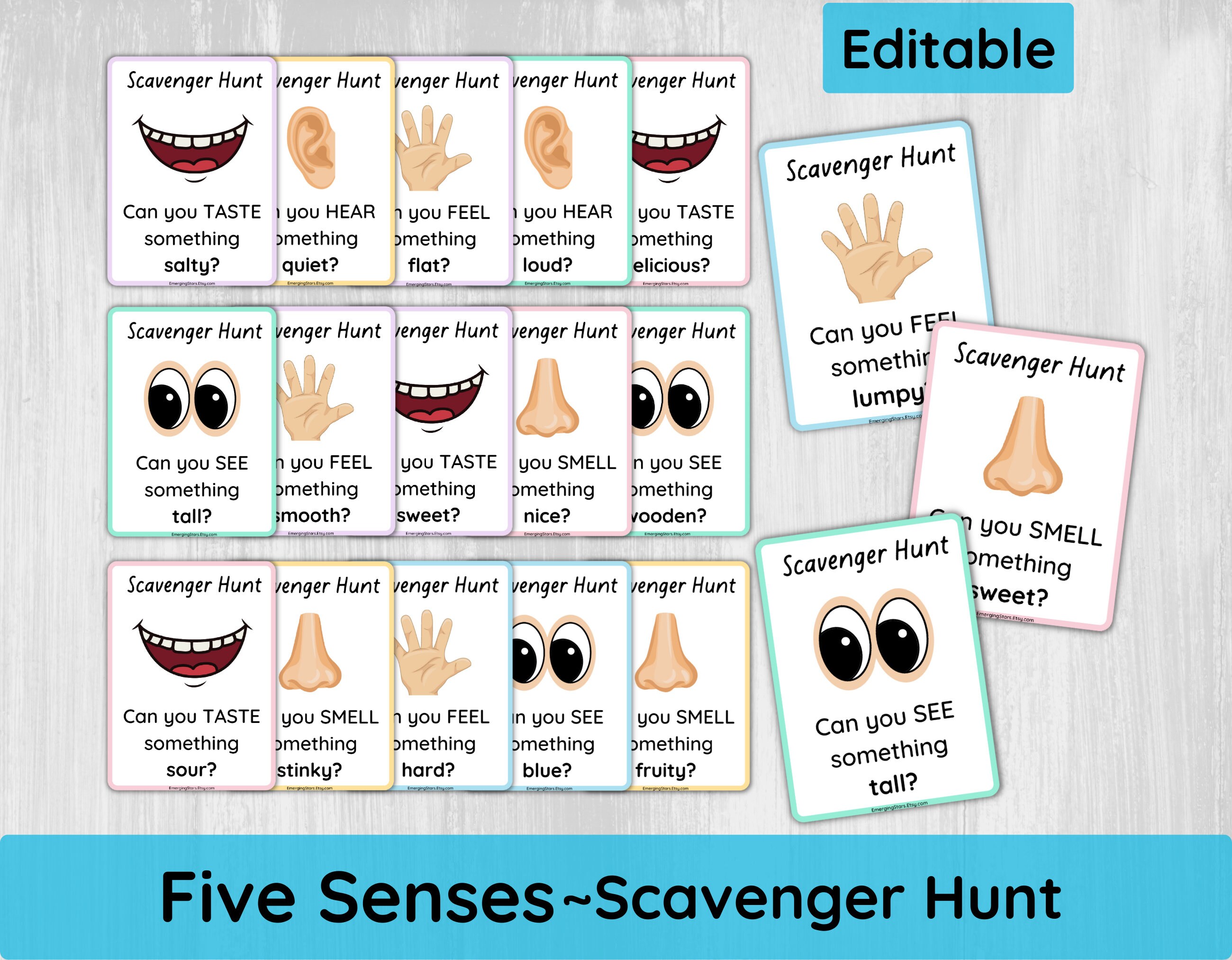 Toddler 5 Senses Scavenger Hunt Cards/ Preschool Five Senses Activity ...