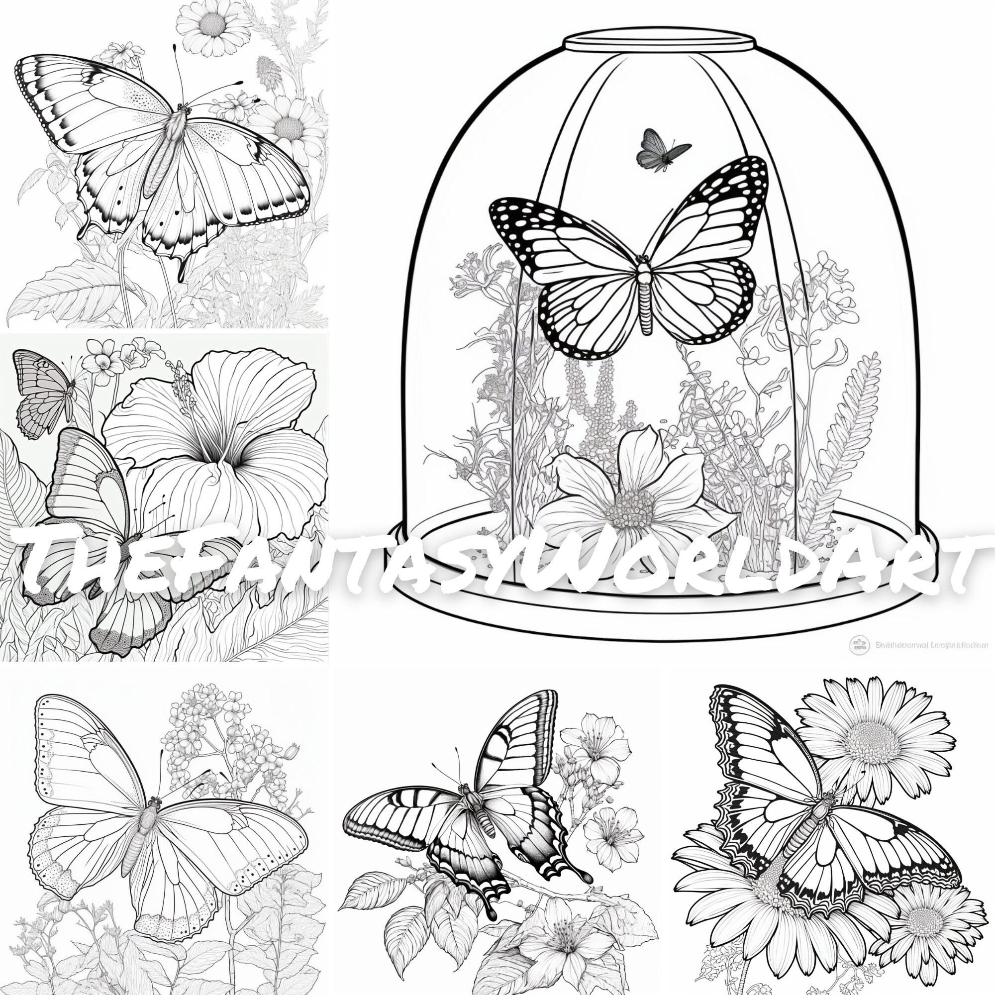 26 Beautiful Butterfly Coloring Pages for Adults and Kids - Etsy