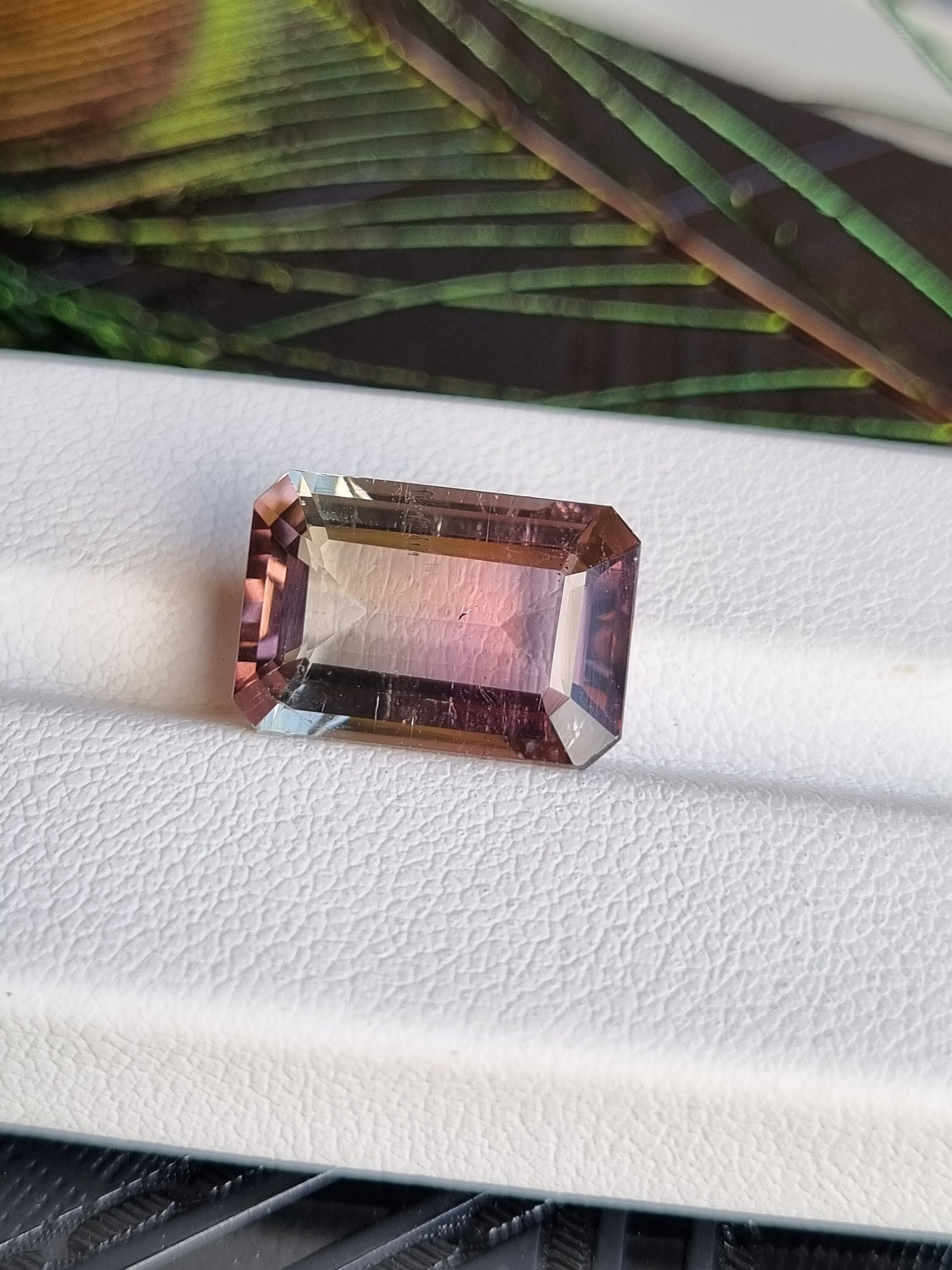 9x13.40mm Natural Tourmaline Bio Color 5.88 Carat in Octagon Shape ...
