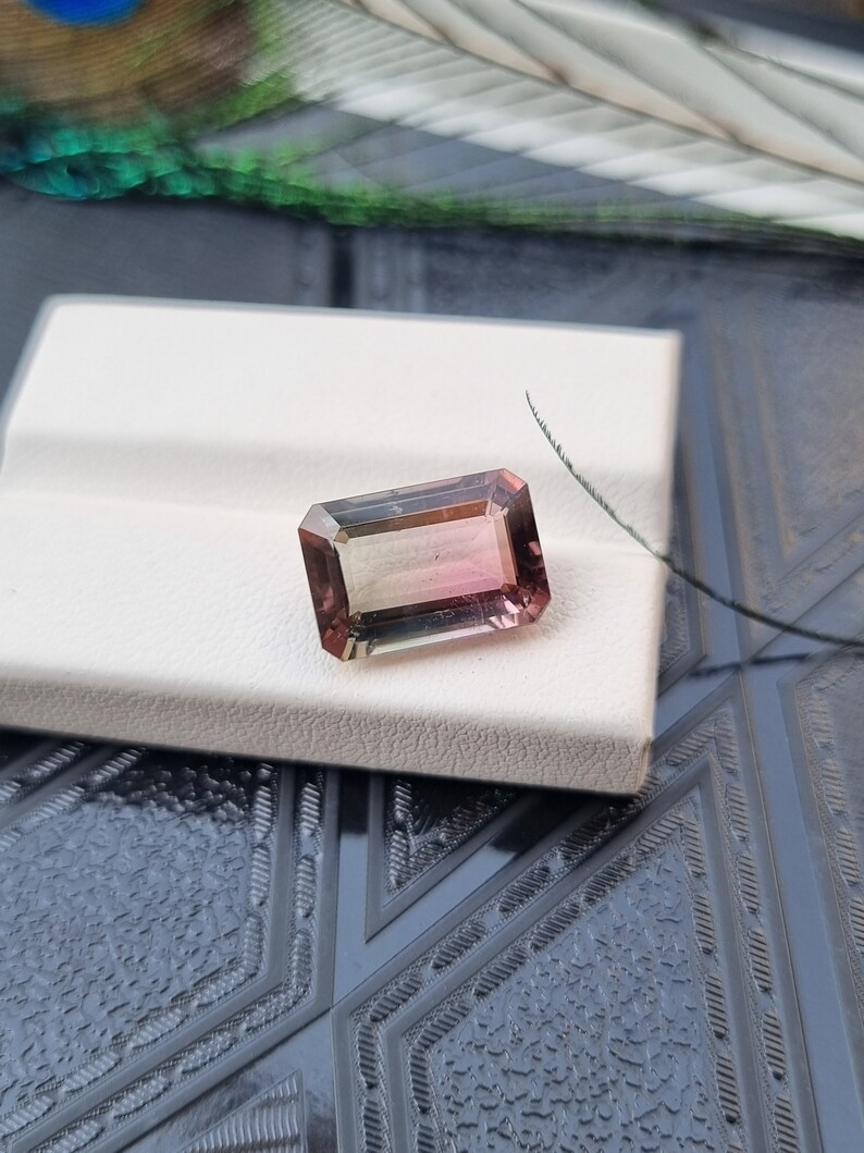 9x13.40mm Natural Tourmaline Bio Color 5.88 Carat in Octagon Shape ...