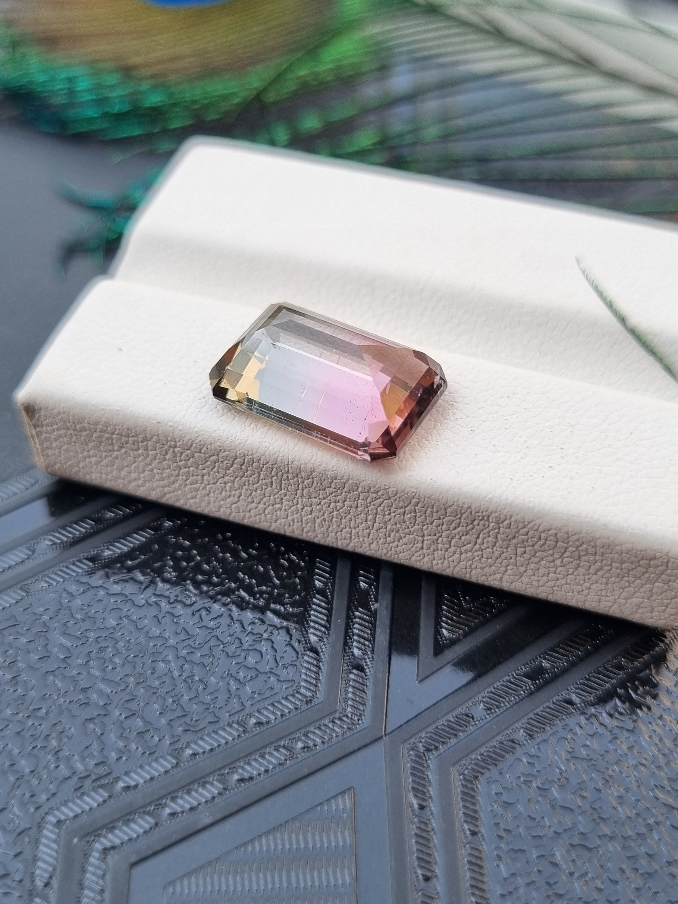 9x13.40mm Natural Tourmaline Bio Color 5.88 Carat in Octagon Shape ...