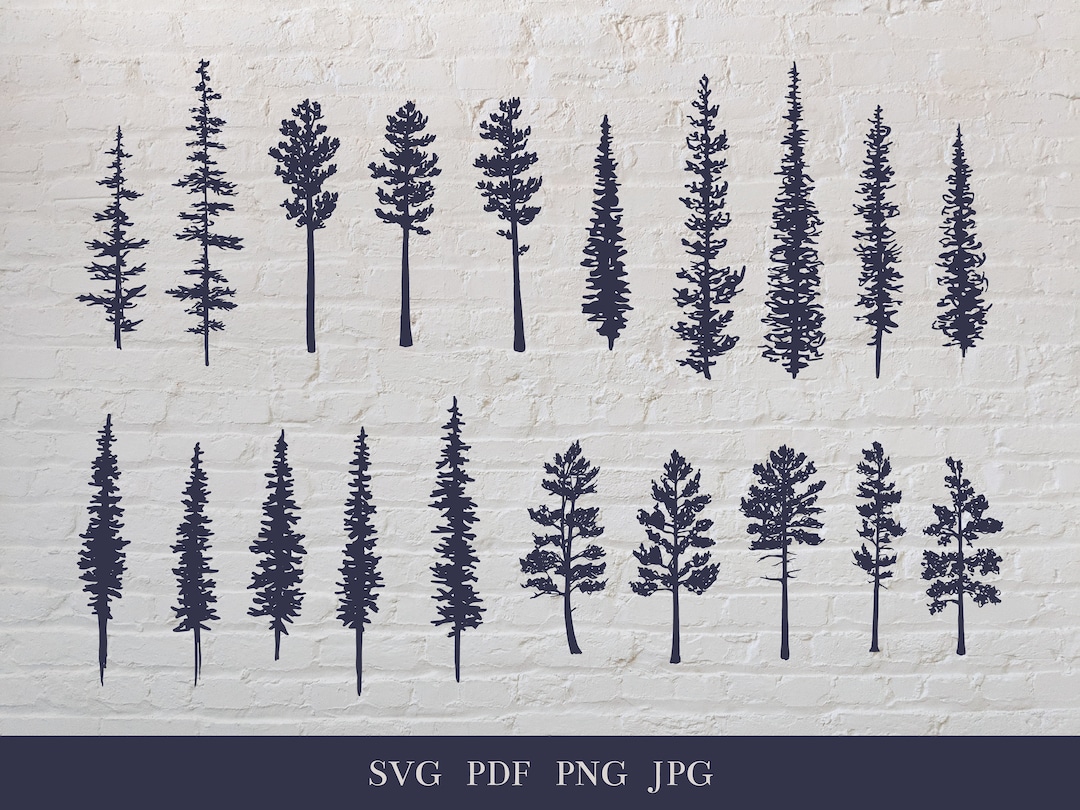 Pine Tree Evergreen Drawing Slihouette Bundle - Black and White Sketch ...