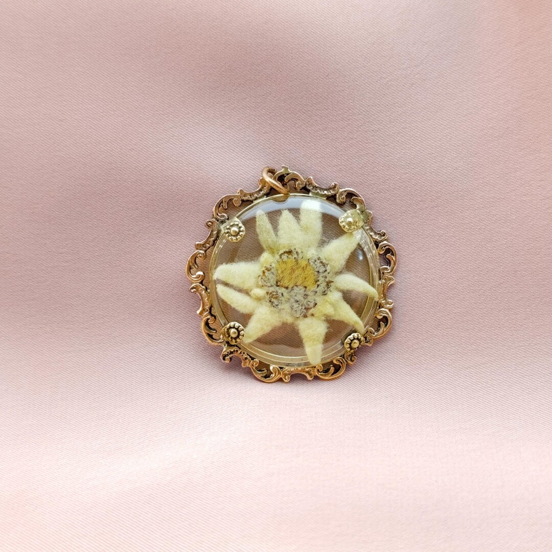 Large Antique Pressed Real Edelweiss Flower Open Faced Locket Golden ...