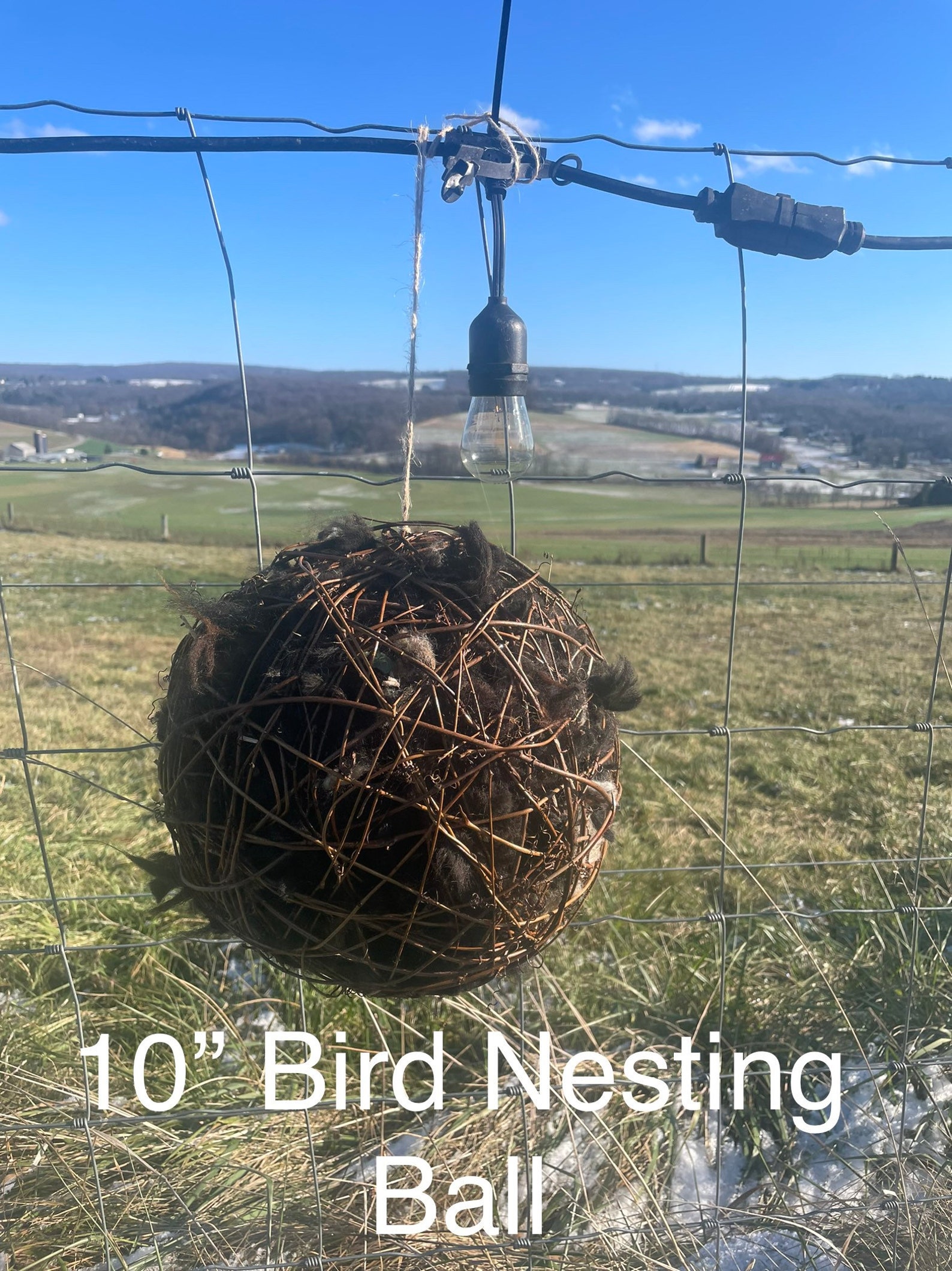 Globe Grapevine Hummingbird Bird Nest Starter, Nesting Balls, Raw ...