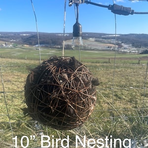 Globe Grapevine Hummingbird Bird Nest Starter, Nesting Balls, Raw ...