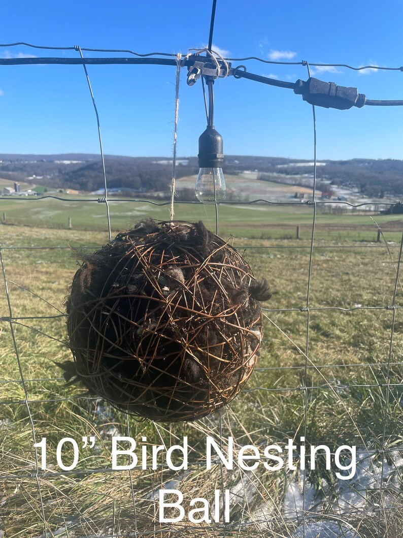 Globe Grapevine Hummingbird Bird Nest Starter, Nesting Balls, Raw ...