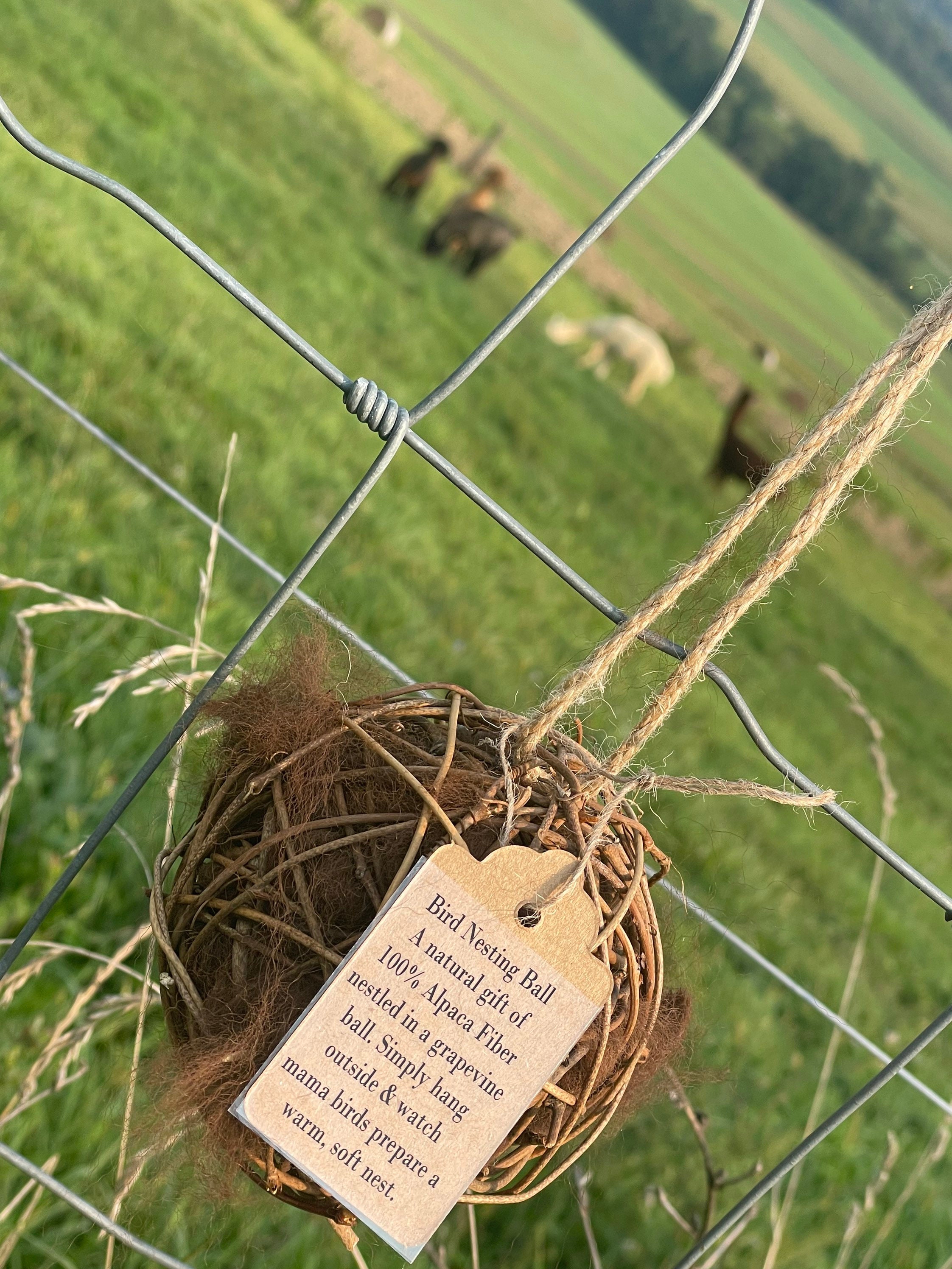 Globe Grapevine Hummingbird Bird Nest Starter Nesting Balls - Etsy