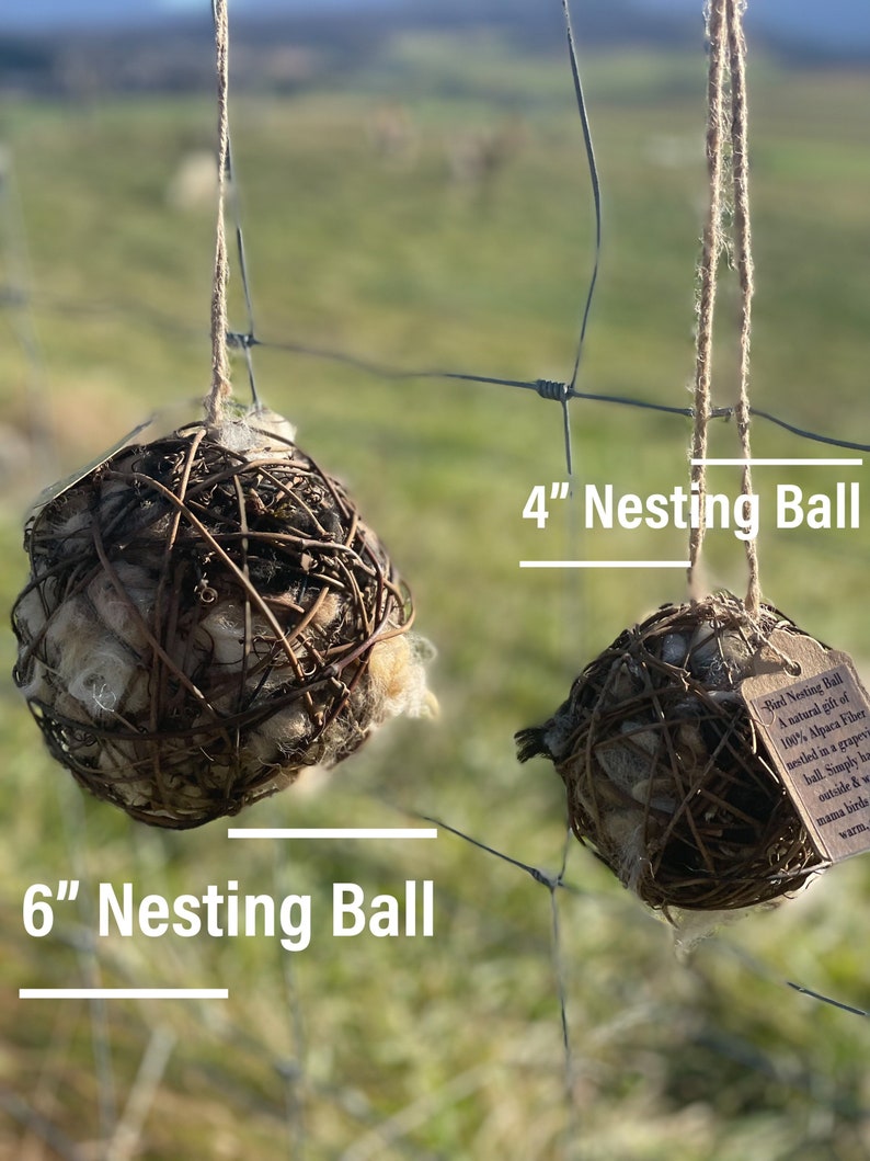 Alpaca Fleece Nesting Ball, Bird Watching Material Holders, Grapevine ...