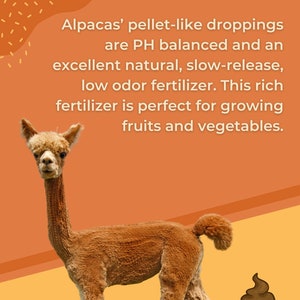 Alpaca Poop, Alpaca Manure, Alpaca Beans, Soil Amendment, Compost Tea ...