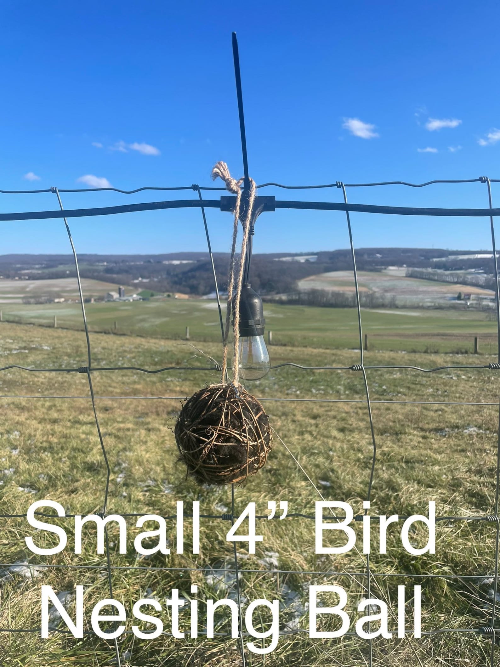 Globe Grapevine Hummingbird Bird Nest Starter, Nesting Balls, Raw ...