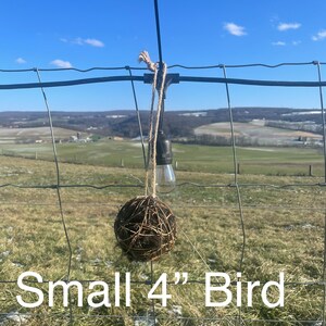 Globe Grapevine Hummingbird Bird Nest Starter, Nesting Balls, Raw ...