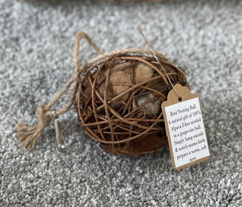 Globe Grapevine Hummingbird Bird Nest Starter Nesting Balls | Etsy