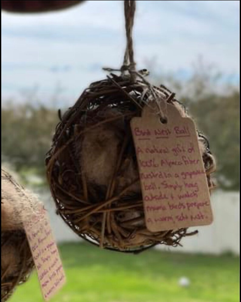 Globe Grapevine Hummingbird Bird Nest Starter Nesting Balls | Etsy