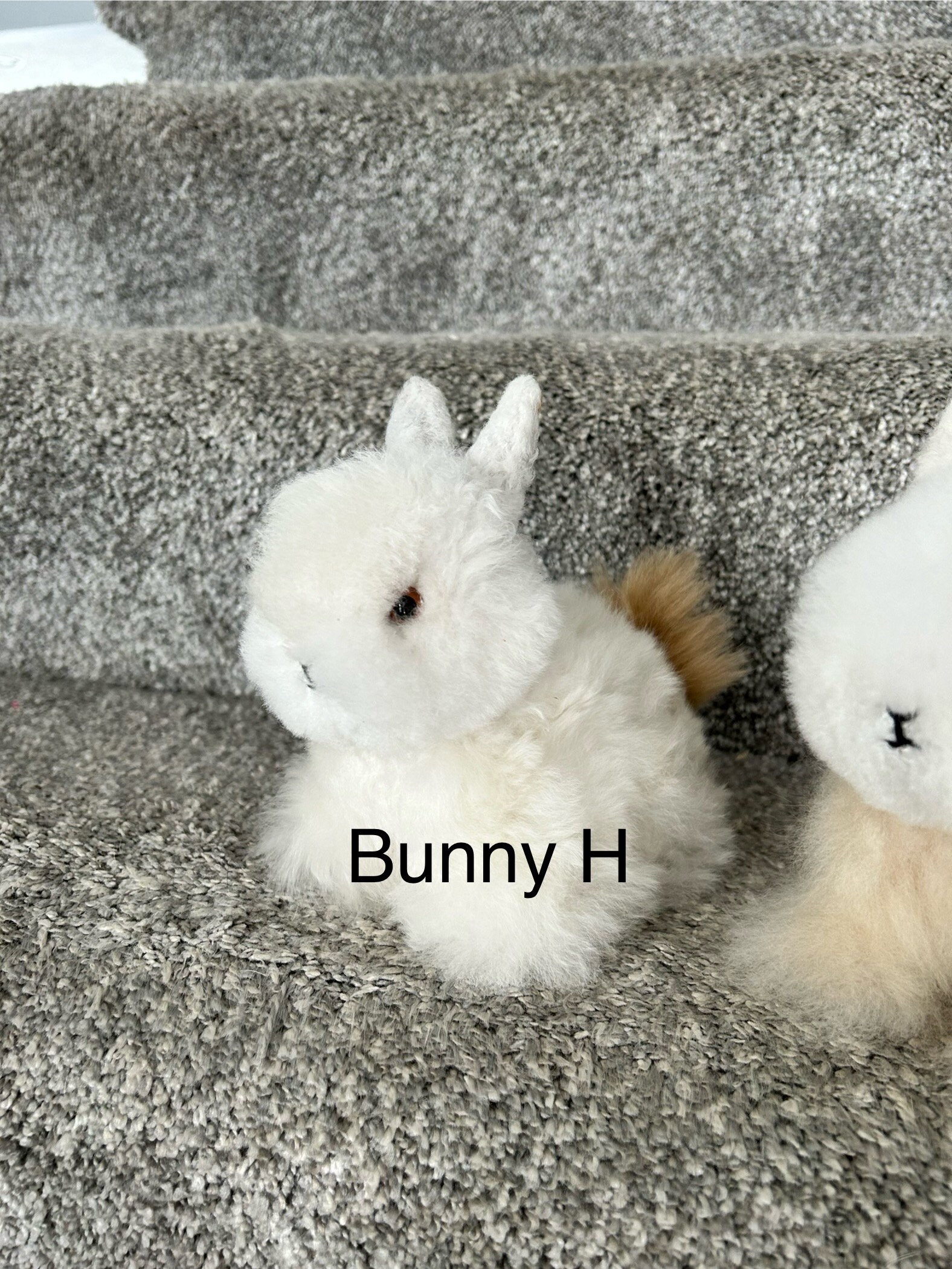 Rabbit Stuffed Animal, Easter Bunny Stuffy, Handmade Stuffed Bunnies ...