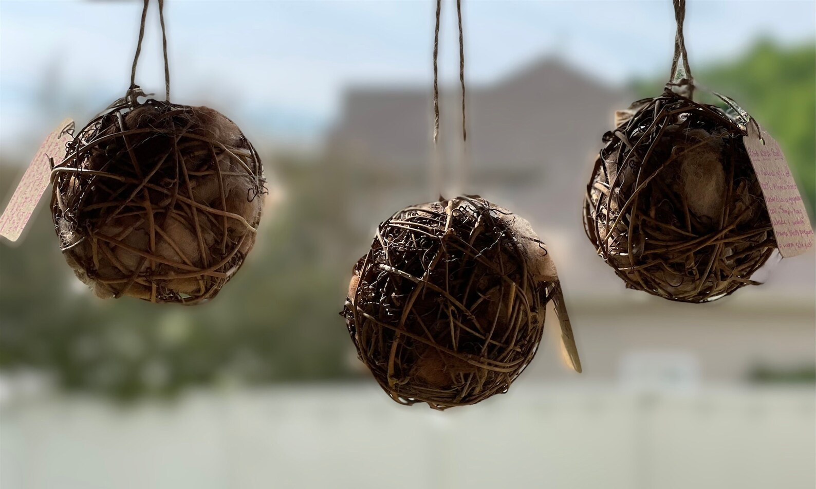 Globe Grapevine Hummingbird Bird Nest Starter Nesting Balls | Etsy