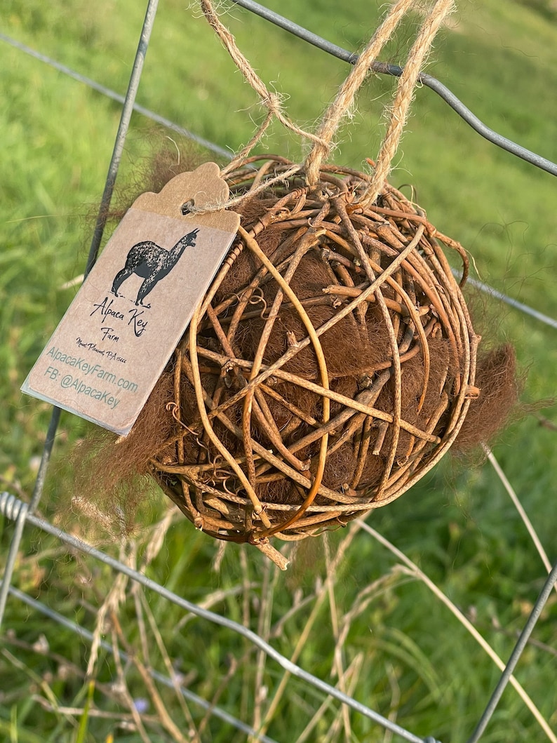 Globe Grapevine Hummingbird Bird Nest Starter, Nesting Balls, Raw ...