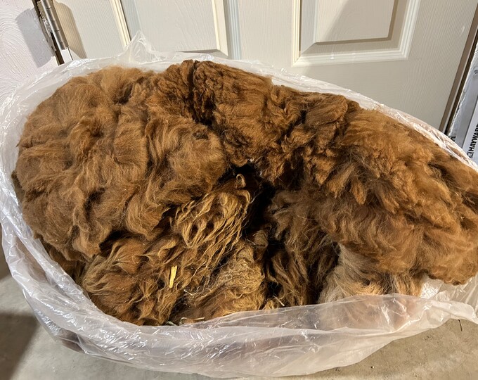 Raw Alpaca Fleece, Raw Alpaca Fiber, Alpaca Wool, Bird Nesting Material ...