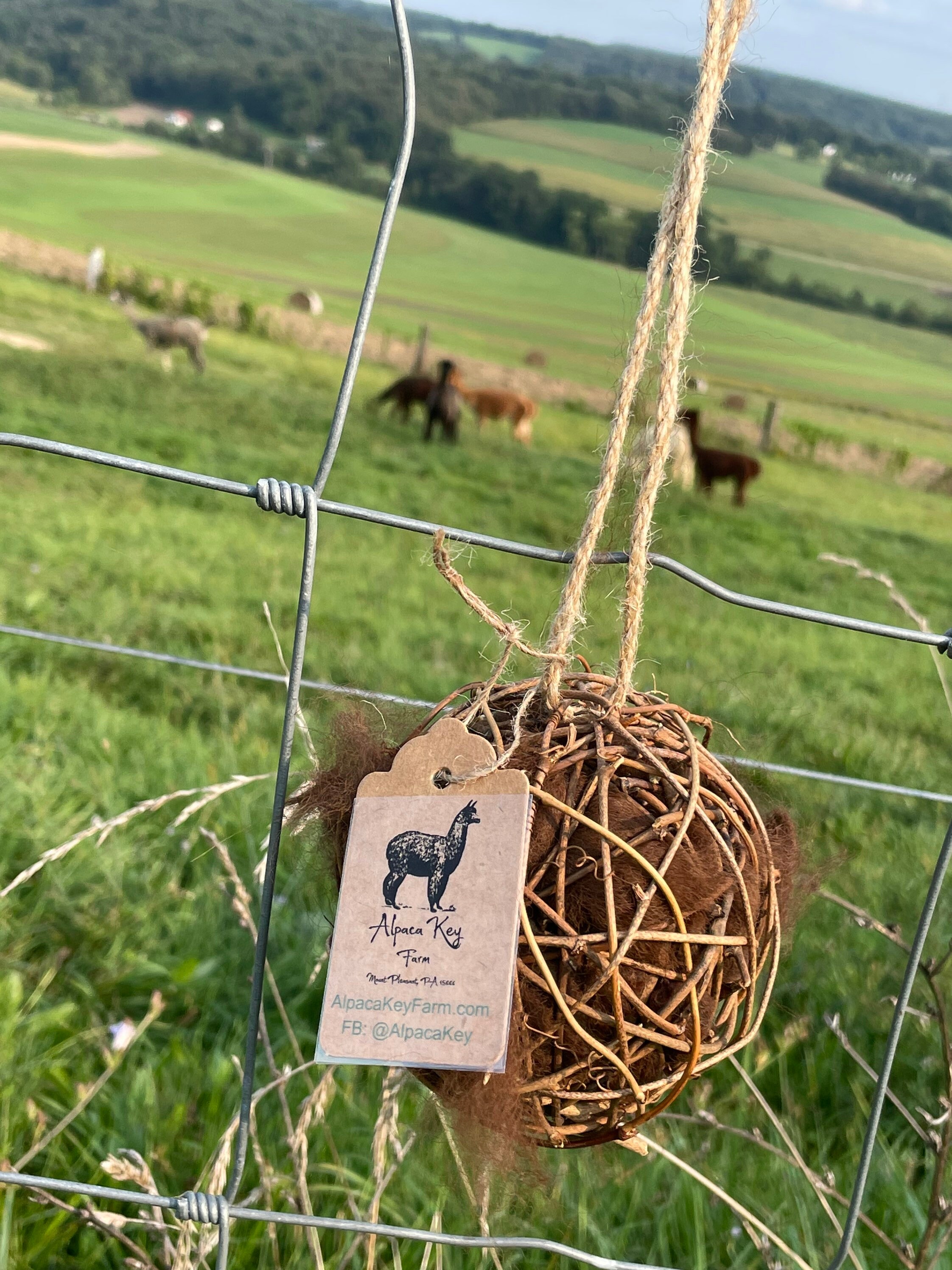 Globe Grapevine Hummingbird Bird Nest Starter, Nesting Balls, Raw ...