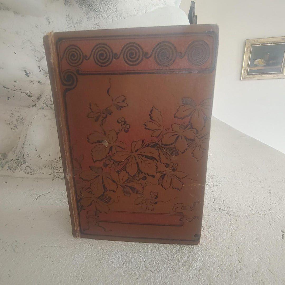 Martin Chuzzlewit by Charles Dickens Dewolfe Fiske and Co - Etsy