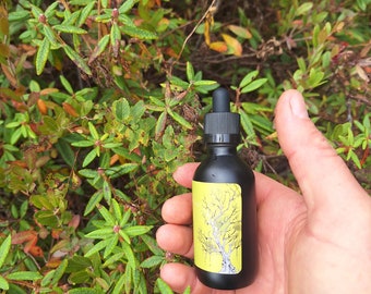 Greenland Moss Essential Oil Organic Ledum Groenlandicum Labrador Tea ...