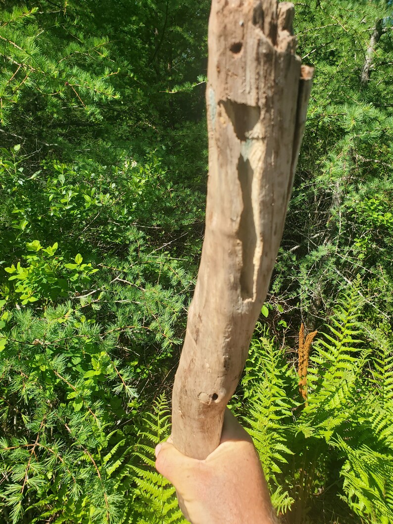 Deadwood Driftwood Exceptional Wood Staff of Aged Tamarack .spiritual ...
