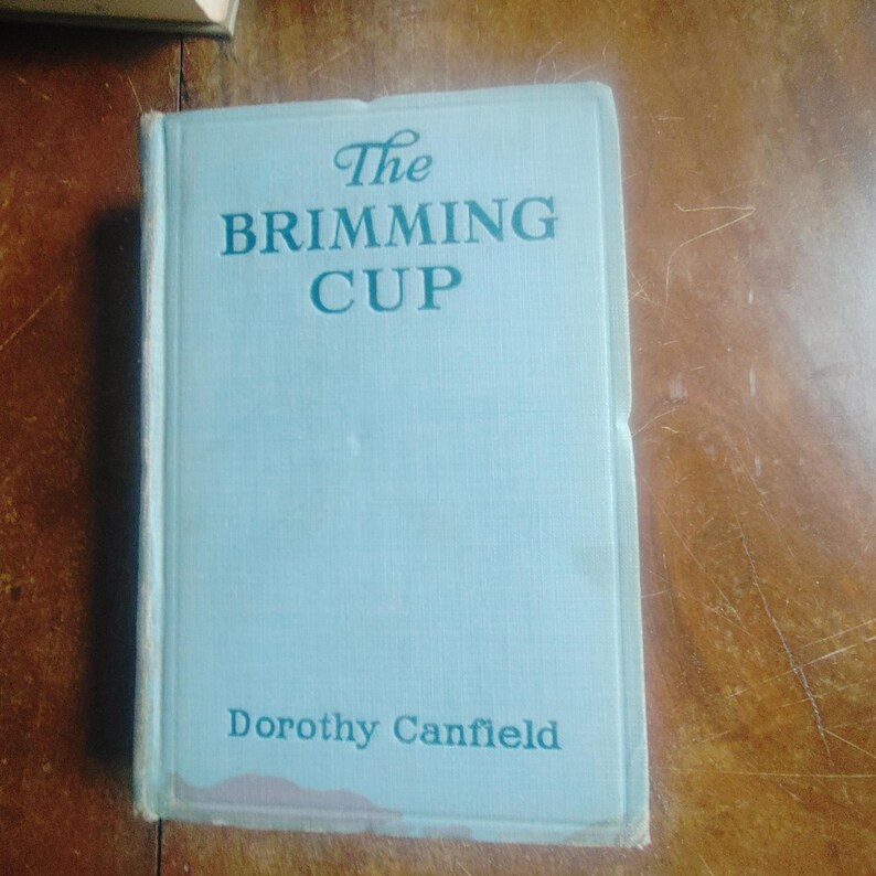 The Brimming Cup Dorothy Canfield 1921 Ninth Printing - Etsy