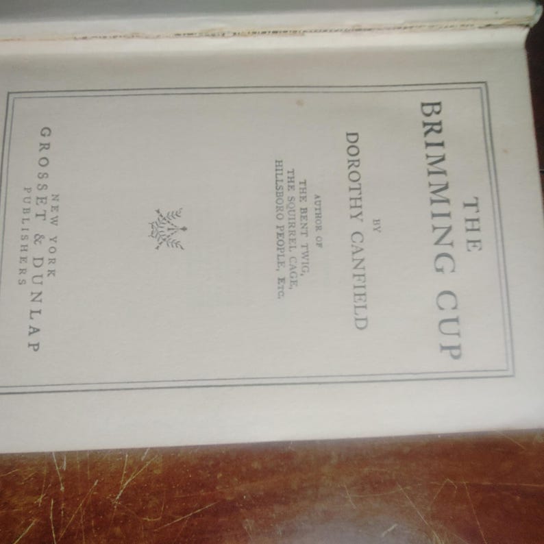 The Brimming Cup Dorothy Canfield 1921 Ninth Printing - Etsy