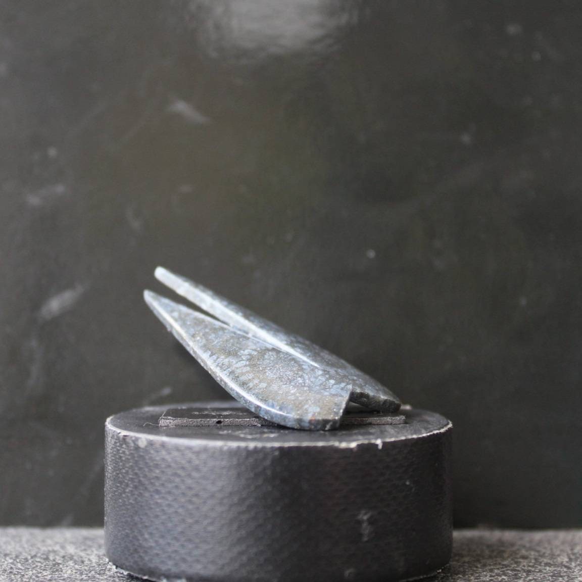 Black Fossil Coral Pyrite Pair - Etsy UK