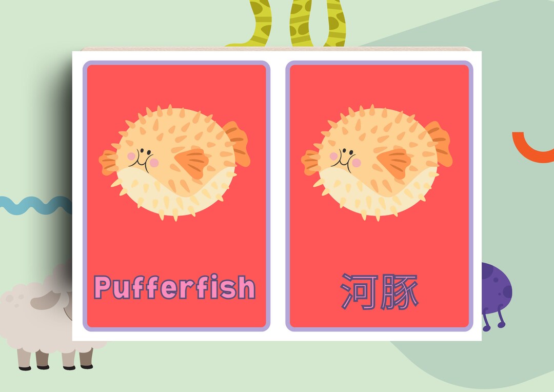 Marine Life Bilingual Flashcards|english|chinese|pinyin Pronunciation ...