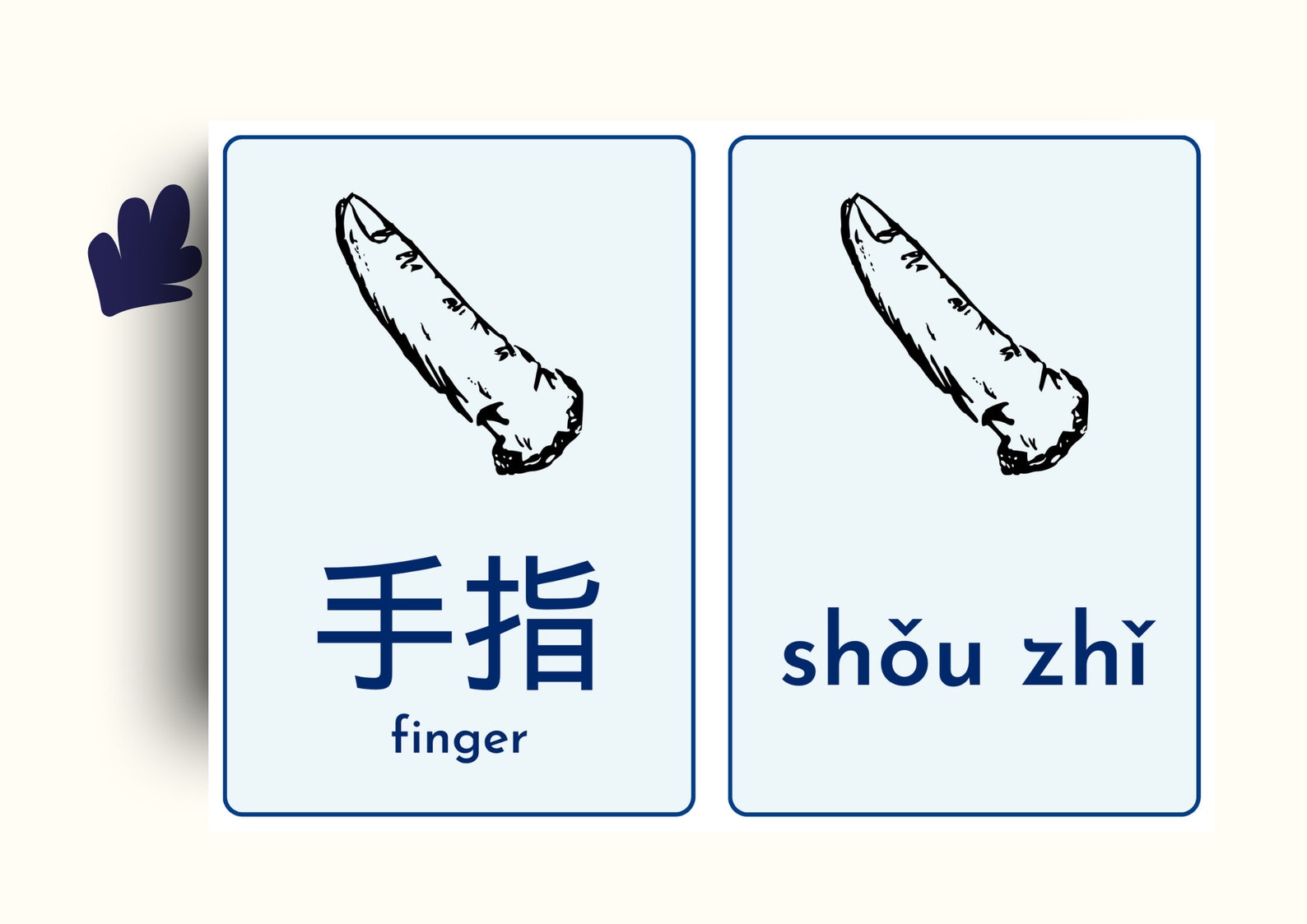 Printable Human Anatomy Flashcards - Learn Chinese Body Parts and ...