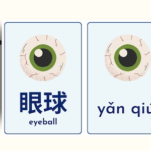 Printable Human Anatomy Flashcards - Learn Chinese Body Parts and ...