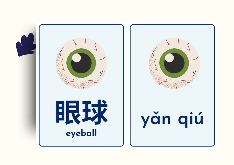 Printable Human Anatomy Flashcards - Learn Chinese Body Parts and ...