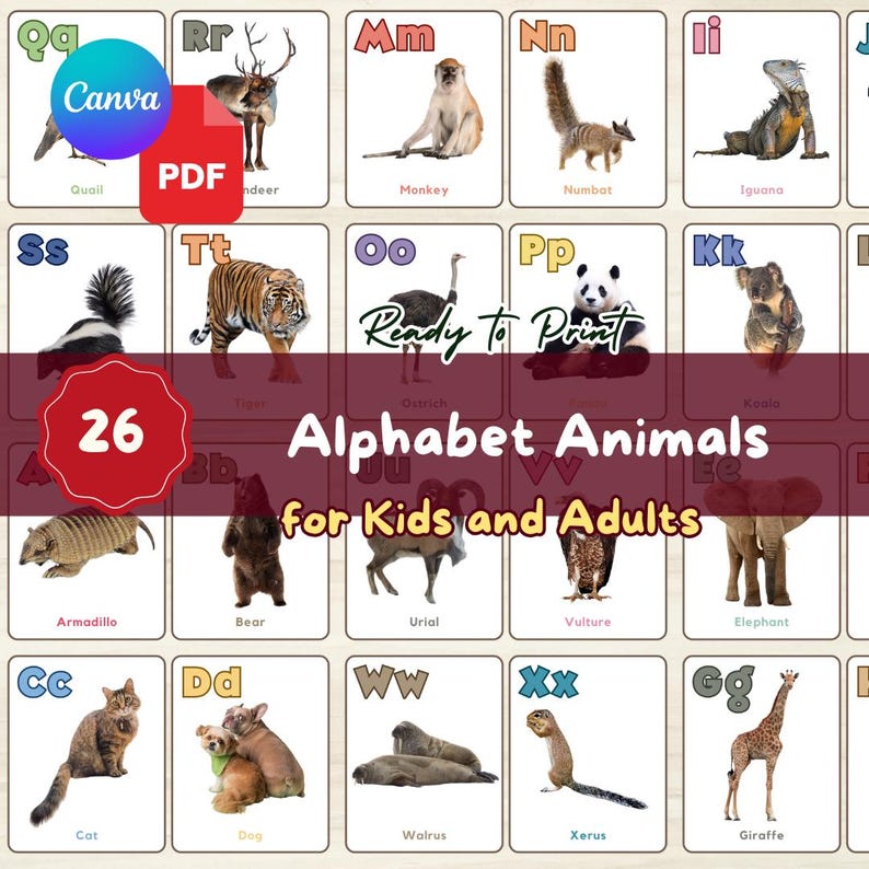 Alphabet Animals Flashcards: Montessori 3-part Cards (printable PDF ...