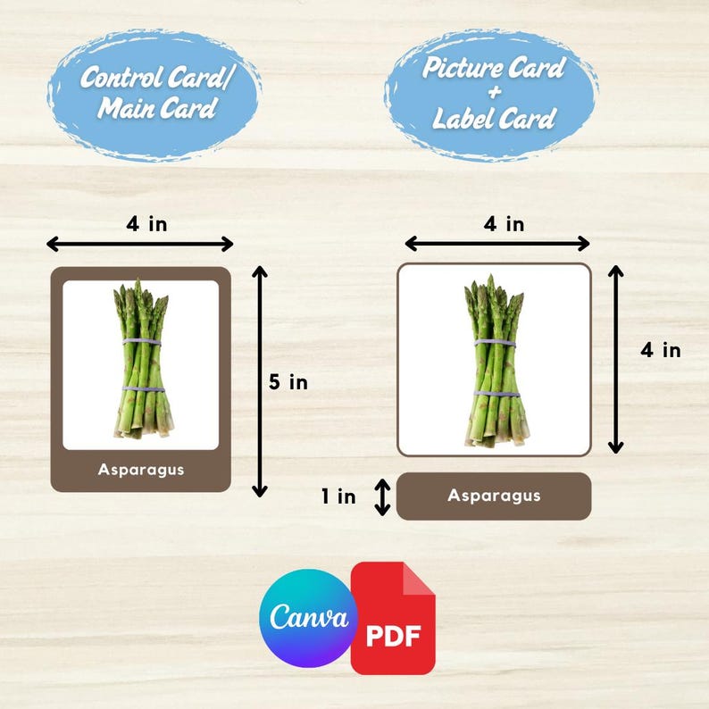 Vegetables Flashcards: Montessori 3-part Cards (printable PDF + Canva ...